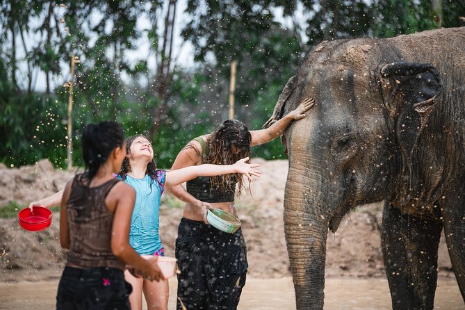 Elephant Jungle Sanctuary: Half Day Morning Program - Authenticity and Ethical Focus