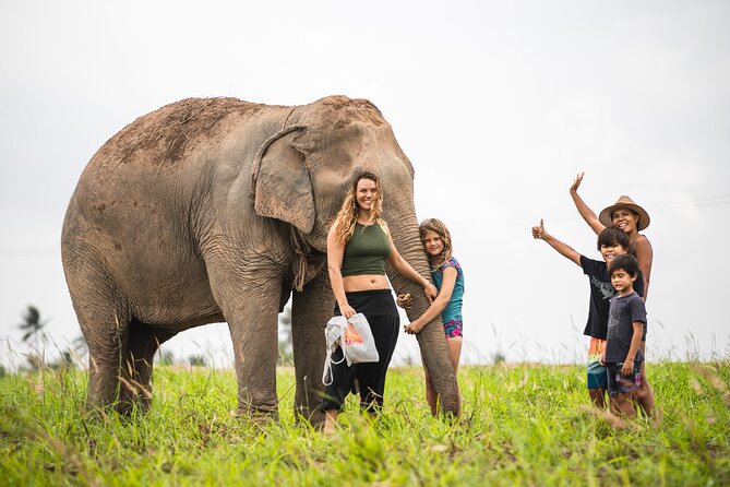 Elephant Jungle Sanctuary: Half Day Morning Program - Authentic Interactions and Memorable Moments
