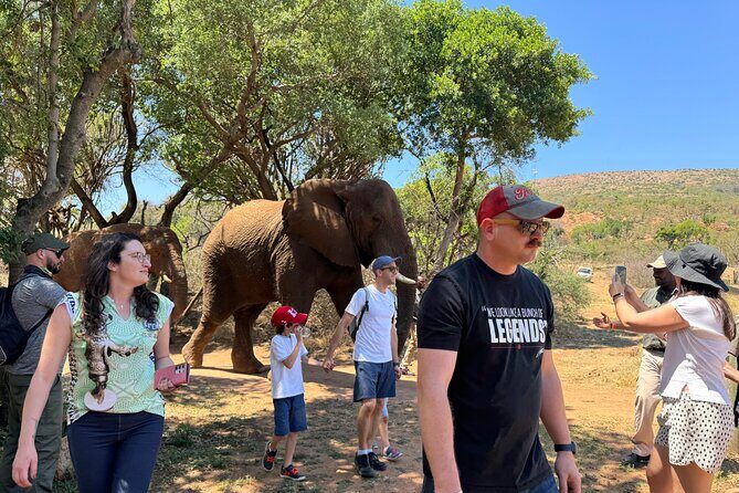 Elephant & Monkey Sanctuary Tour from Johannesburg - Exploring the Elephant & Monkey Sanctuary Tour from Johannesburg