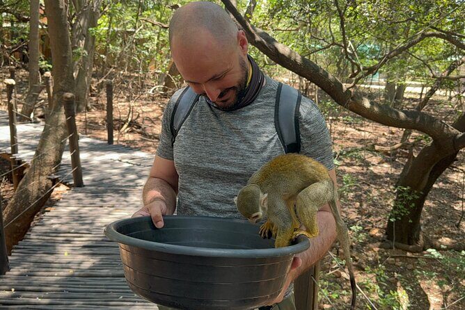 Elephant & Monkey Sanctuary Tour from Johannesburg - Key Points
