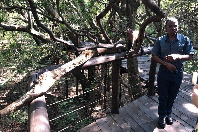 Elephant & Monkey Sanctuary Tour from Johannesburg - Final Thoughts: Who Is This Tour For?