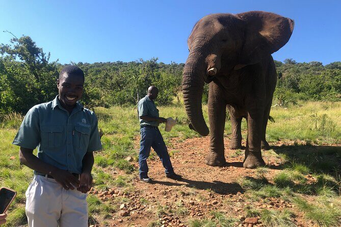 Elephant & Monkey Sanctuary Tour from Johannesburg - FAQ Section