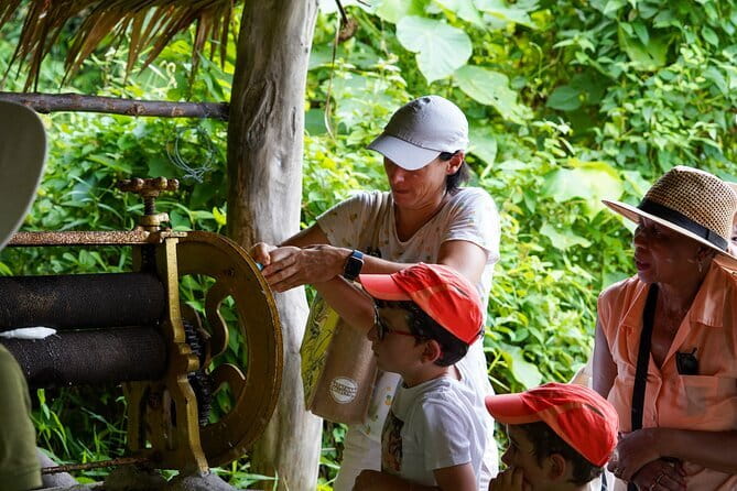 Elephant Nature Experience with Lunch at Bukit Elephant Park - Final Thoughts: Is This Tour Right for You?