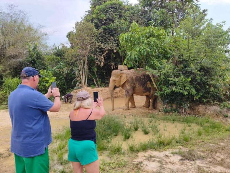 Elephant Sanctuary Cambodia, Pickup and drop off included - What Makes This Tour Special