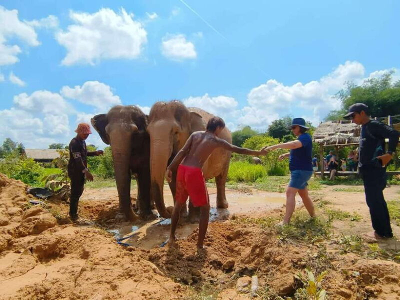 Elephant Sanctuary Cambodia, Pickup and drop off included - Potential Drawbacks or Considerations