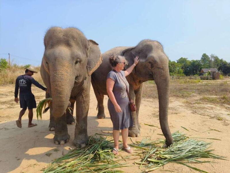 Elephant Sanctuary Cambodia, Pickup and drop off included - FAQ