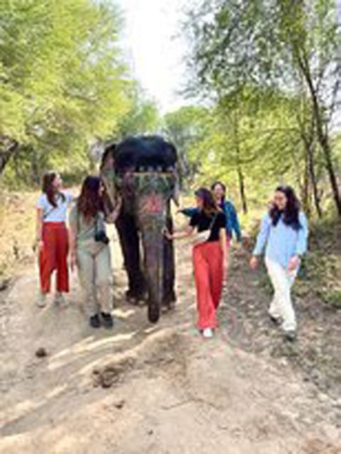 Elephant Sanctuary for Best elephant experience in Jaipur - Key Points