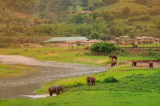Elephant Sanctuary + Waterfall + Bamboo Rafting One Day Trip - What to Expect at Each Stop