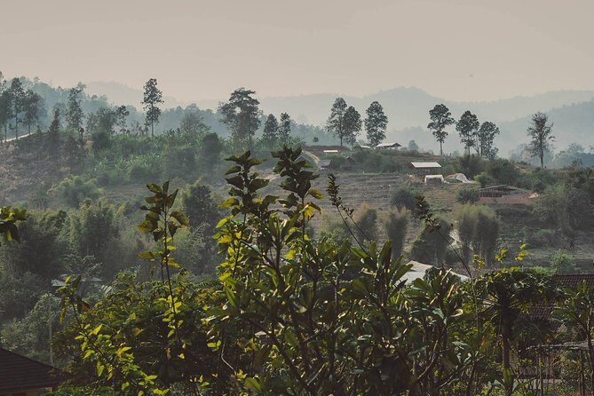Elephant Sightings , Bamboo Rafting Through The Jungle, Swimming In a Waterfall - Practical Tips for Your Day