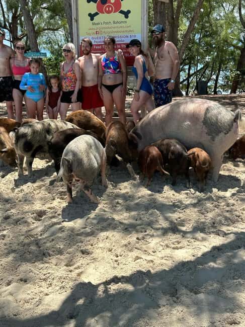 Eleuthera Adventure: Swings, Pigs, and Reefs - Introduction: An Exciting Mix of Fun and Culture