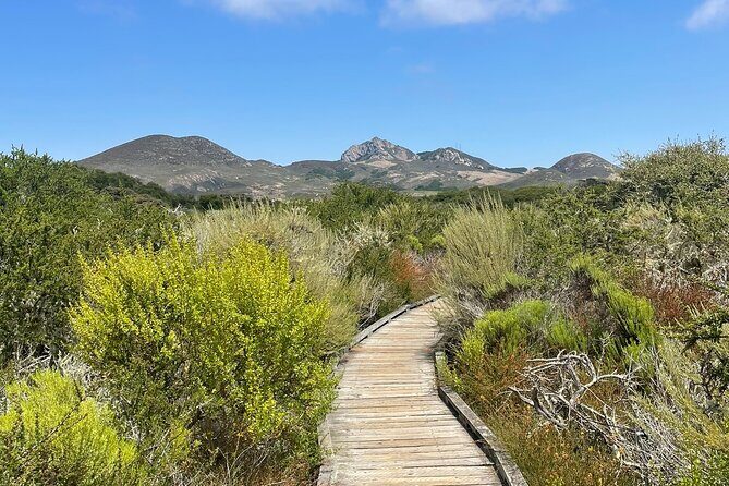 Elfin Forest Nature Tour with Local Sweet and Savory Tasting - A Closer Look at the El Moro Elfin Forest Tour