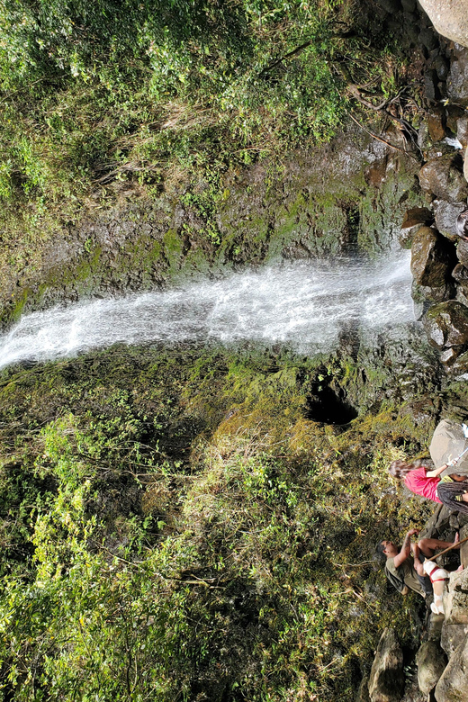 Elf's Highly Customized Private Tours ... O'ahu, Hawai'i - What’s Included and What to Bring