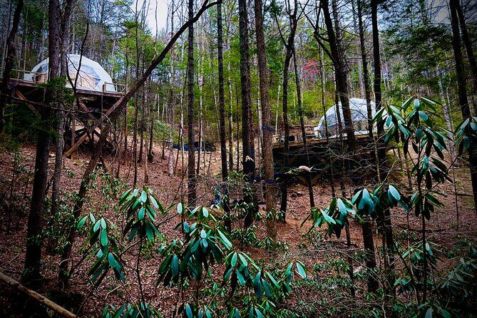 Elijay Hike w/ Waterfall & Wine Tasting Private Tour from ATL - Starting with Nature: The Falls Branch Falls Hike