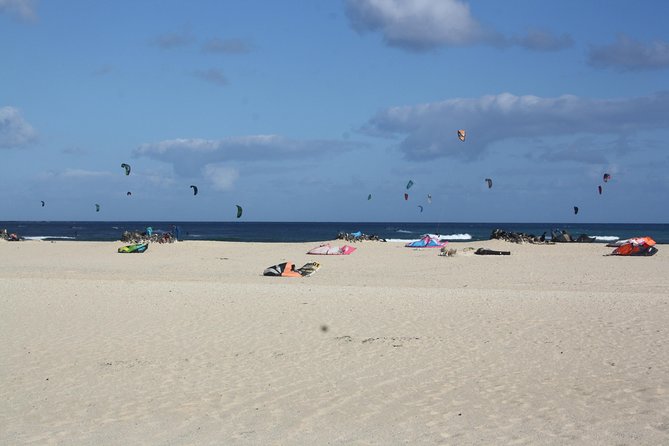 Elisabeth's Tailor made tours and services in Amsterdam and the Netherlands. - Who Should Book This Tour?