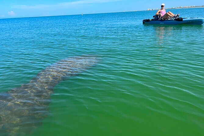 Elite Hobie Kayak Experience: Ultimate Premium Eco Adventure! - An Overview of the Elite Hobie Kayak Experience