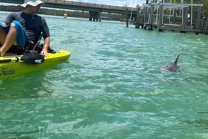Elite Hobie Kayak Experience: Ultimate Premium Eco Adventure! - Authentic Experiences and Notable Highlights