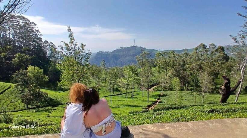 Ella: 9 Arches Bridge, Little Adam's Peak, Tea Factory, Food - Who This Tour Is Best For