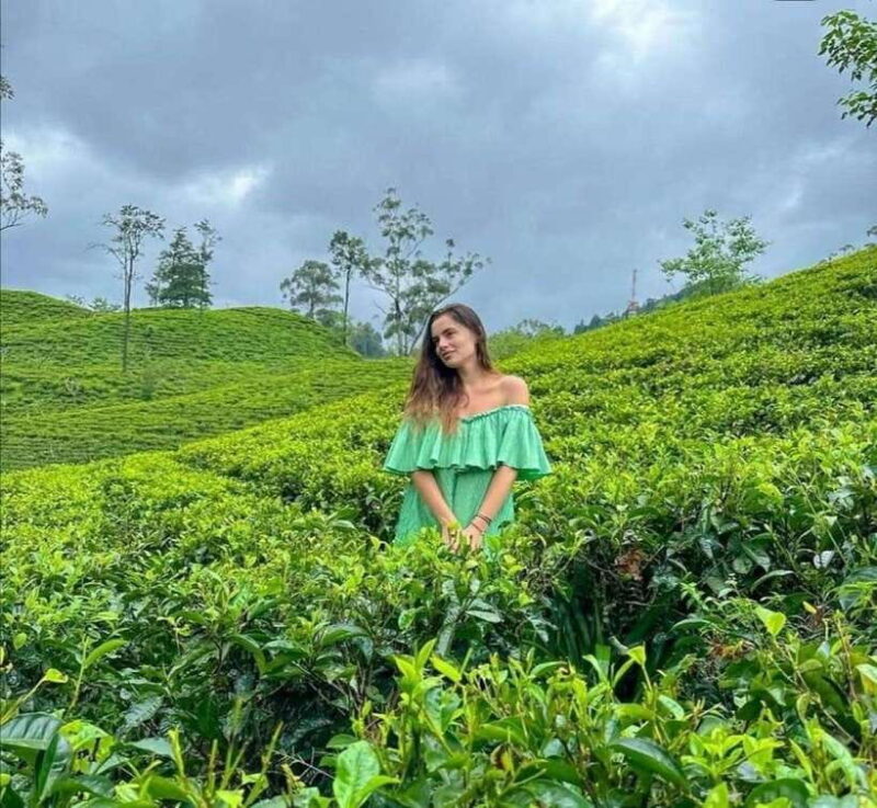 Ella: Adventure day trip to explore Ella by tuk tuk - Who Will Love This Tour?