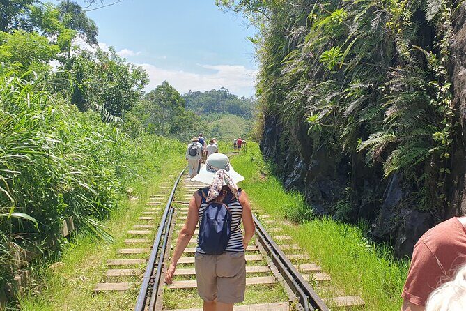 Ella and Yala National park Tour from Colombo - A Closer Look at the Itinerary