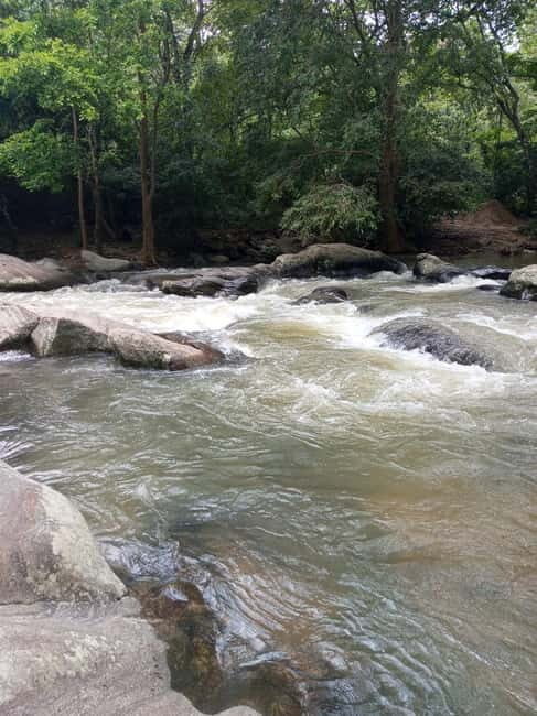 Ella: Authentic village tour with Sri Lankan lifestyle & way - Introduction: A Taste of Rural Sri Lanka