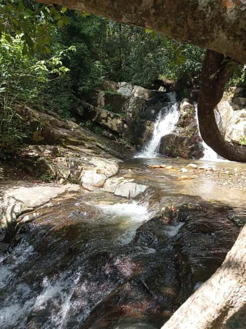 Ella: Authentic village tour with Sri Lankan lifestyle & way - Who Will Love This Tour?