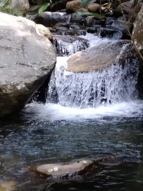 Ella: Cinnamon, Spice Garden & Waterfall tour - Key Points