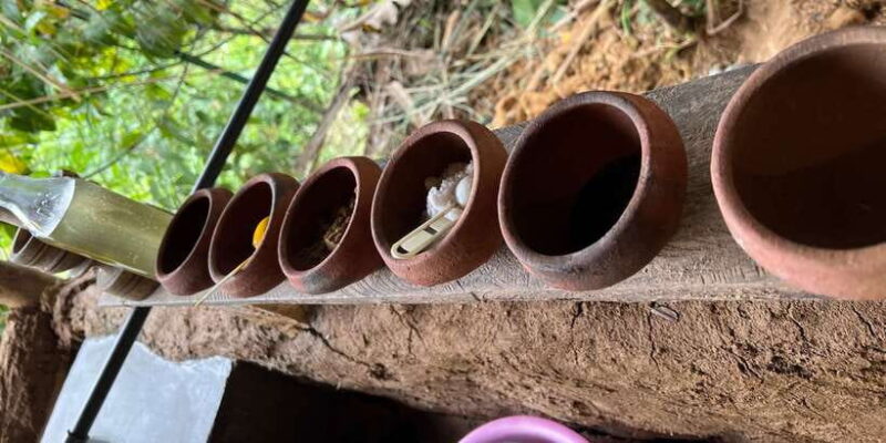 Ella Cook With Sadamali - Exploring the Ella Cook With Sadamali: A Genuine Taste of Sri Lankan Cuisine