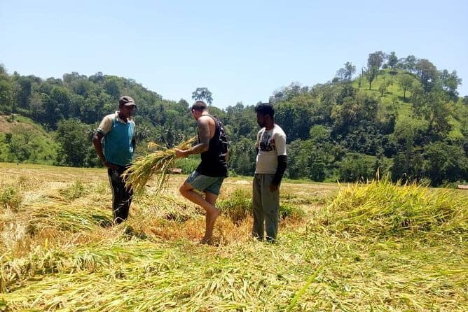 Ella Countryside Village Tour from Ella - What Makes This Tour Valuable?