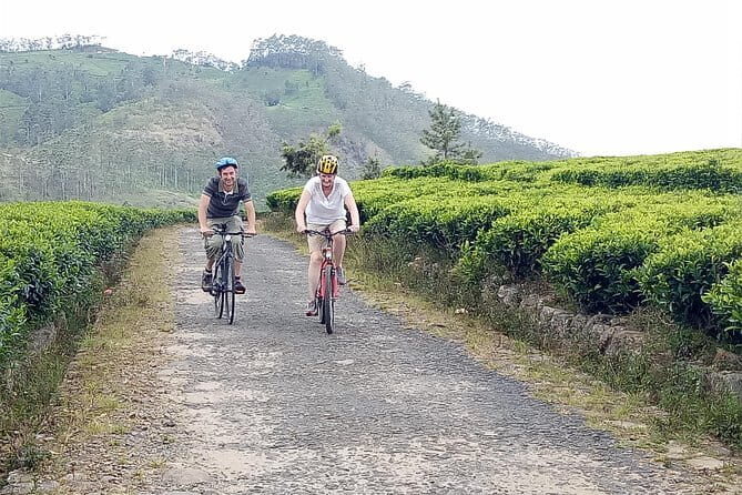 Ella Cycling Tour - An Entertaining Way to Explore Ella