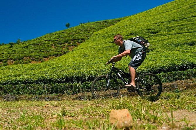 Ella Cycling Tour - Authentic Experiences and Practical Tips