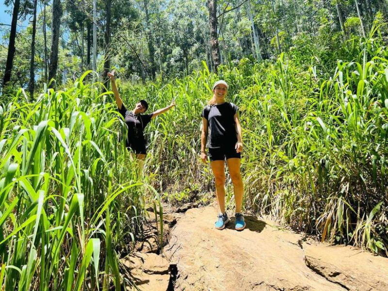 Ella Day Tour from Kandy with tea factory - Key Points