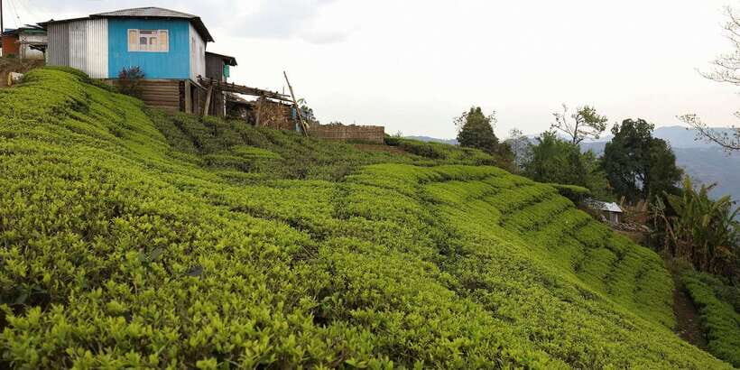 Ella: Day Tour From Kandy with Train Ride - Booking and Cancellation