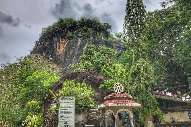 Ella Day Tour from Mirissa/Tangalle/Waligama - Who Would Love This Tour?