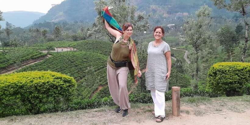 Ella Day Tour: with Tea Factory Visit From Colombo/ Negombo - Authenticity and Value