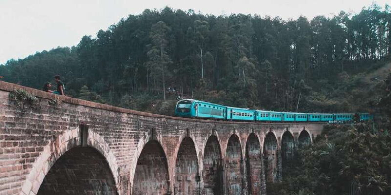 Ella Day Tour: with Tea Factory Visit From Colombo/ Negombo - Practical Details and What to Expect