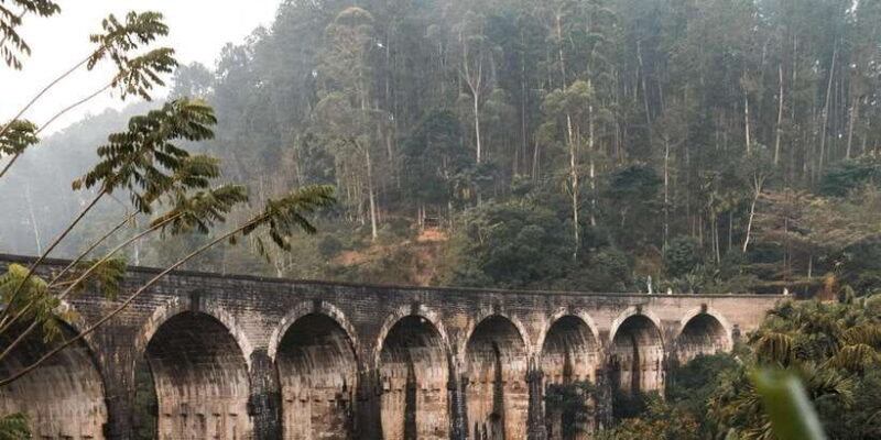 Ella Day Tour: with Tea Factory Visit From Colombo/ Negombo - Authenticity and Value