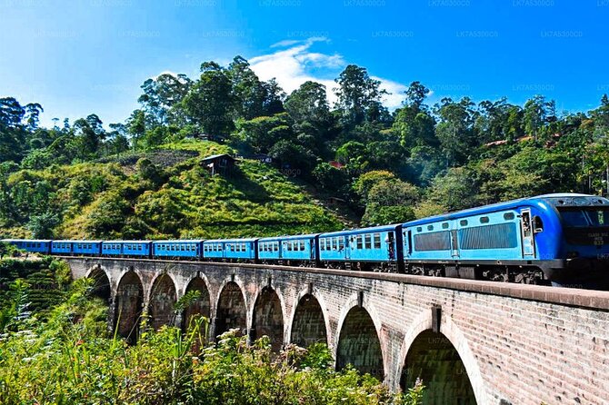 Ella Day Trip with Train Ride & Tea Factory - All Inclusive - What Makes This Tour Stand Out?