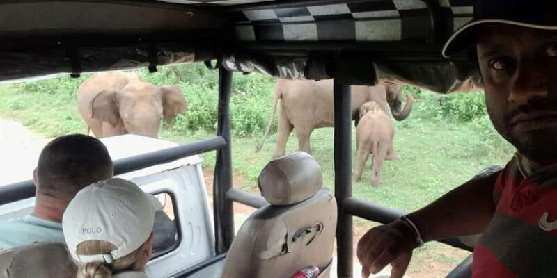 Ella : Drop to Heriketiya/Mirisa/Galle & Udawalawe safari - The Sum Up