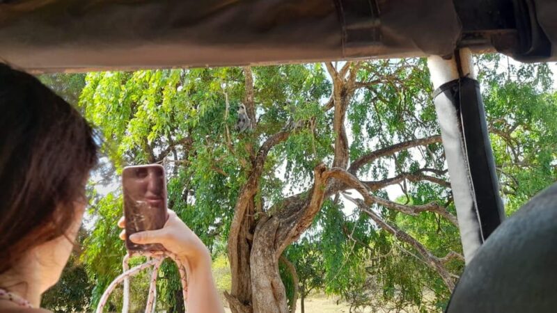 Ella : Drop to Heriketiya/Mirisa/Galle & Udawalawe safari - FAQ