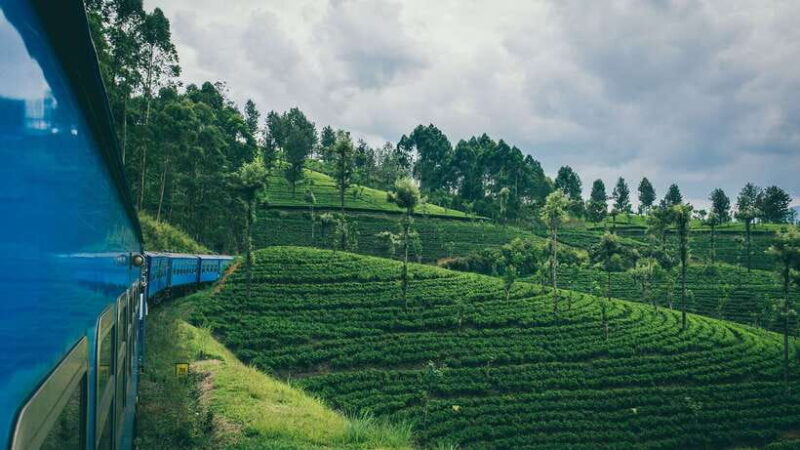Ella: First Class Scenic Train Ticket To/From Nanuoya - Why Travelers Love It: Authentic and Scenic