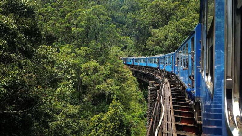 Ella Hill Country Tour : A Perfect Day Tour in Sri Lanka - Who Will Love This Tour?