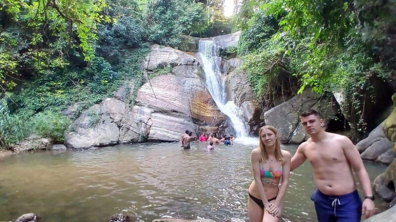 ELLA Lipton Seat Tea Test & Pluck 9 Arch, Waterfalls, by TUK - Key Points