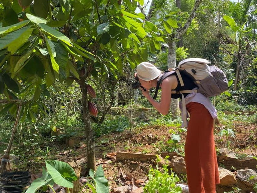 Ella: Nine Arch Spice Garden Tour with Traditional Lunch - Who Should Consider This Tour?
