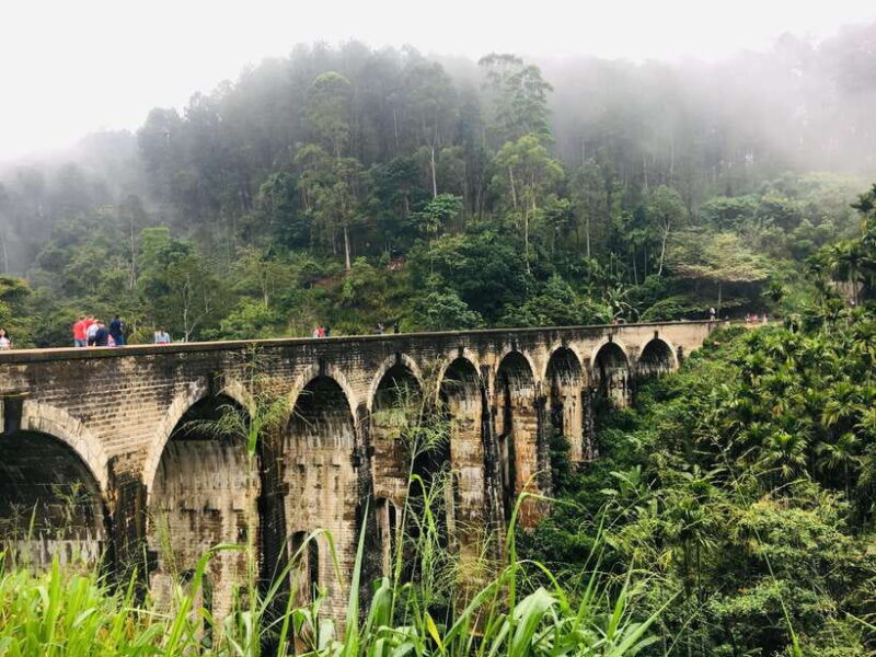 Ella One Day Tour by Tuk-Tuk - Key Points