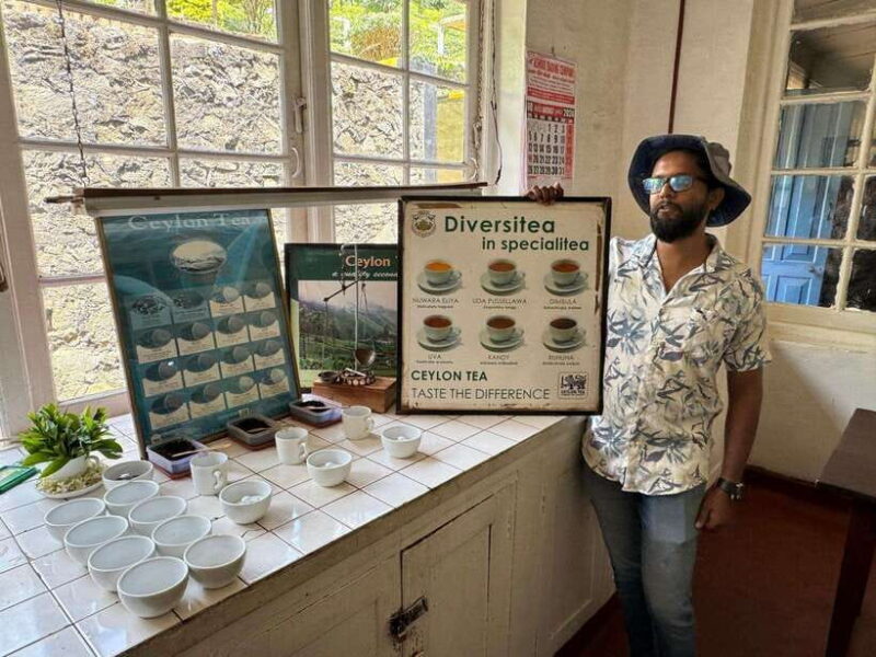 Ella One Day Tour by Tuk-Tuk - Who This Tour Is Best For