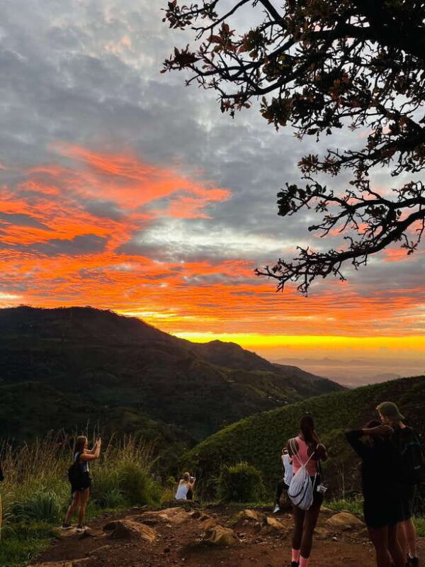 Ella One Day Tour by Tuk-Tuk - Final Thoughts: Is It Worth It?