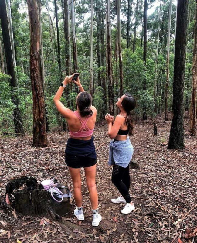 Ella rock , Little adams peak , 9 arch , Waterfall Day Tour - Why This Tour Offers Genuine Value