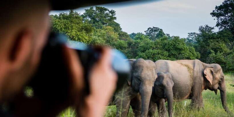 Ella: Shuttle to Mirissa/Galle/Hikkaduwa & Udawalawa Safari - What Could Be Improved