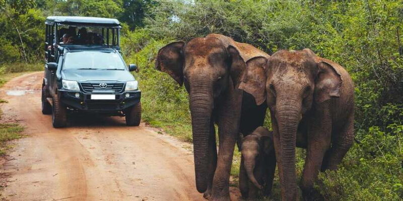 Ella: Shuttle to Mirissa/Galle/Hikkaduwa & Udawalawa Safari - FAQ