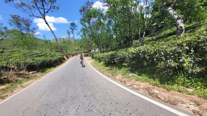 Ella, Sri Lanka Cycle Zone Bike Tour - The Sum Up: Who Should Book This Tour?